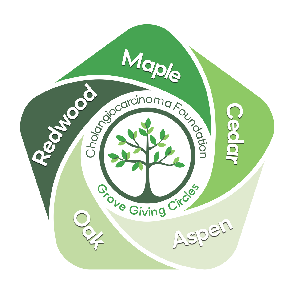 The Grove Giving Circles - Cholangiocarcinoma Foundation